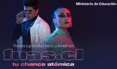 Plataforma E-Mineduc